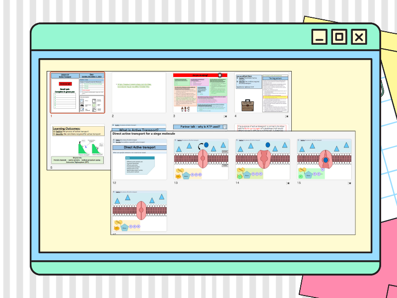 Active Transport (Chapter 4: Transport Across the Cell Membrane) - AQA ...
