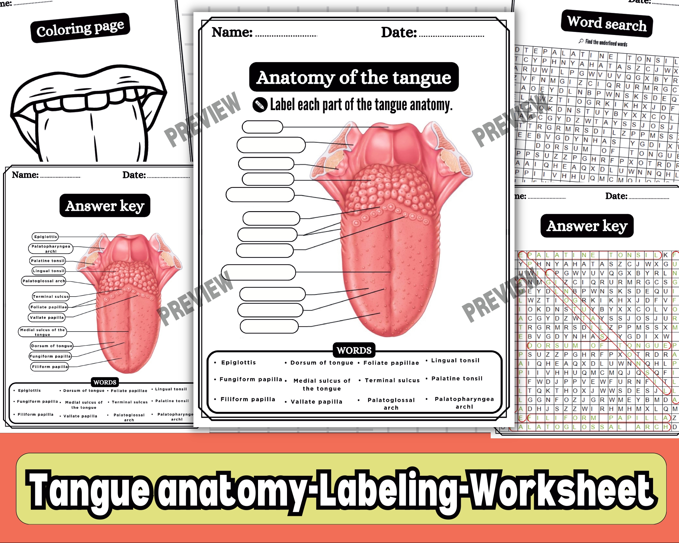 Tongue Anatomy Worksheets,Labeling Diagram,Word Search,Coloring-KS2–KS4 ...