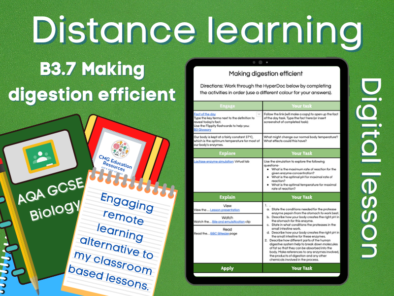 B3 Organisation and the digestive system: Distance learning bundle (AQA ...