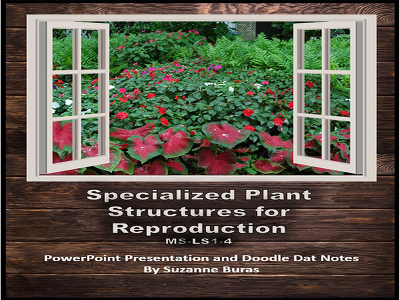 Plant Structure and Reproduction PowerPoint and Doodle Dat Notes: NGSS ...