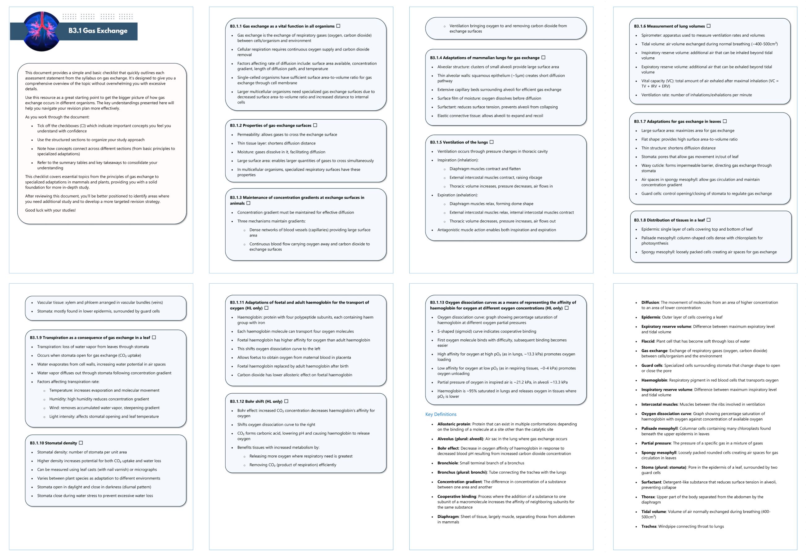 IB DP Biology B3.1 Gas Exchange Condensed Topic Notes 2026 | Teaching ...