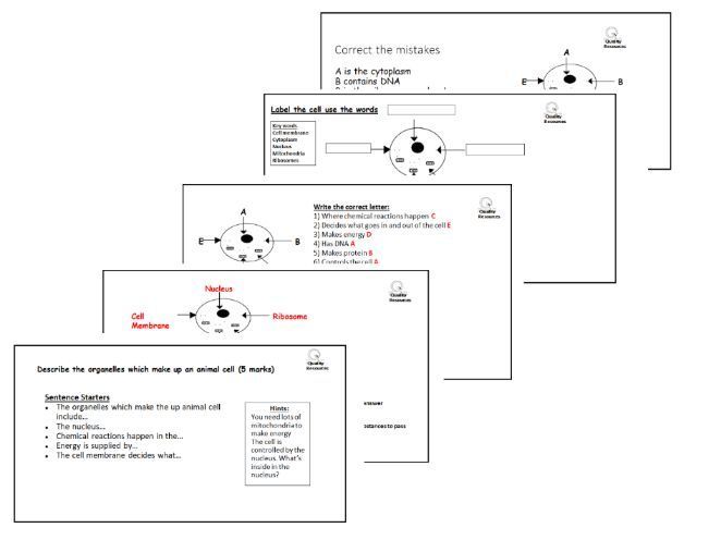 KS3 Animal Cells - Scaffolded Worksheets for Low Attainers and SEN ...