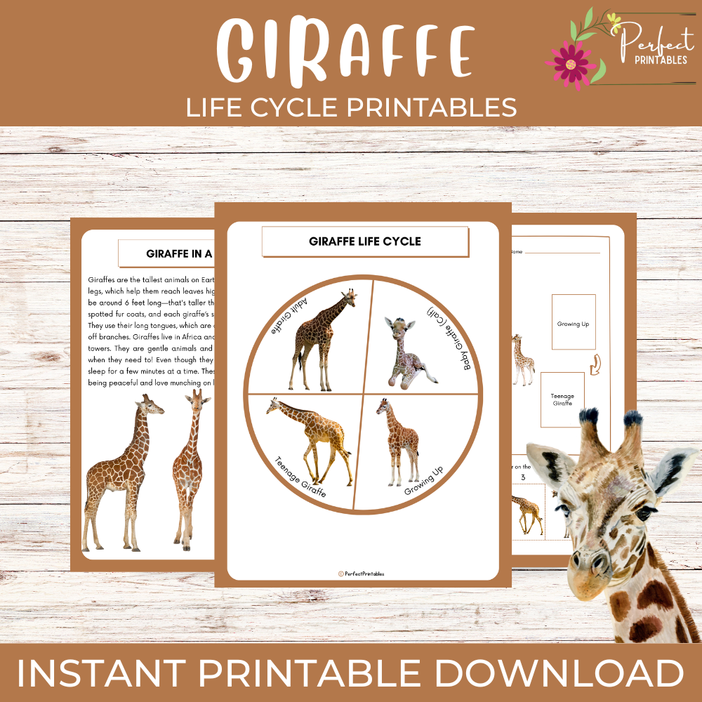 Life Cycle of a Giraffe Worksheet - Animal Science Unit Study With Fun ...