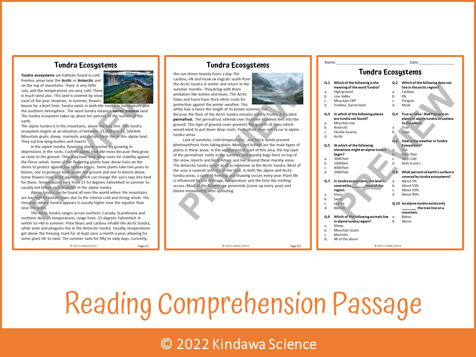Tundra Ecosystems Reading Comprehension Passage and Questions - PDF ...