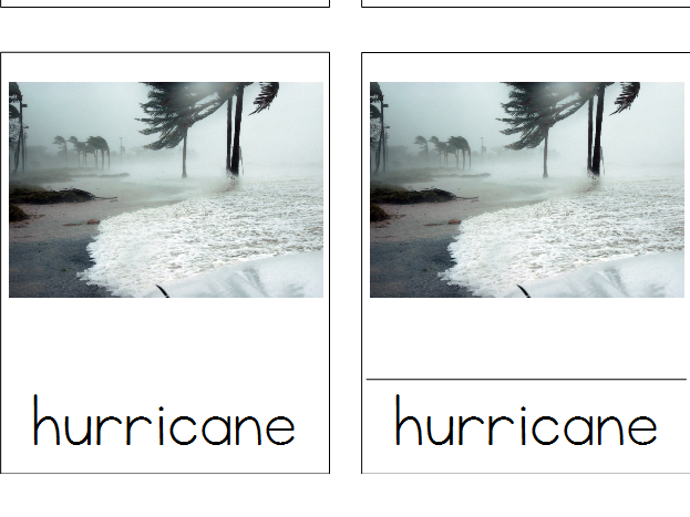 Early Years Understanding the World Resources and Activities | Tes
