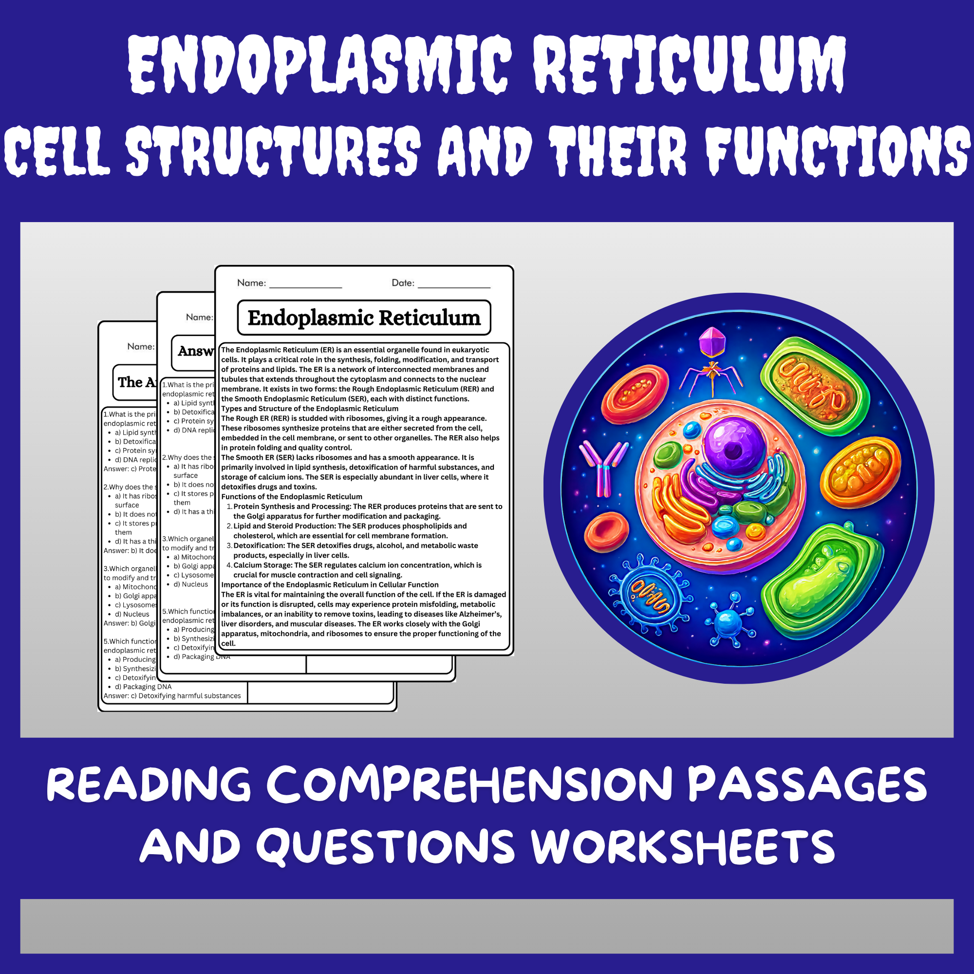 Endoplasmic Reticulum Reading Comprehension Passages & Questions ...