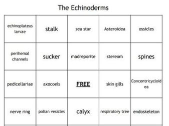 "The Echinoderms" Bingo for a Zoology Course | Teaching Resources