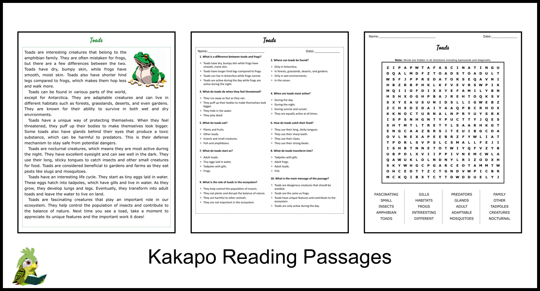 Toads Reading Comprehension and Word Search | Teaching Resources