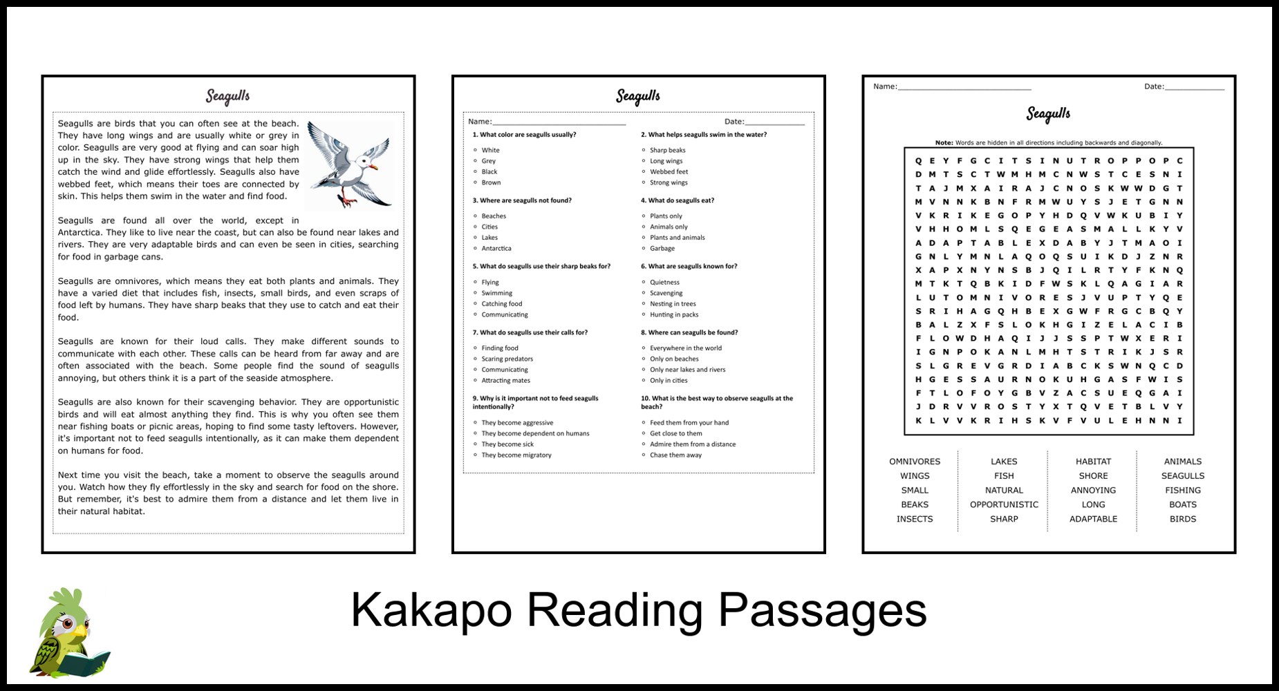Seagulls Reading Comprehension and Word Search | Teaching Resources