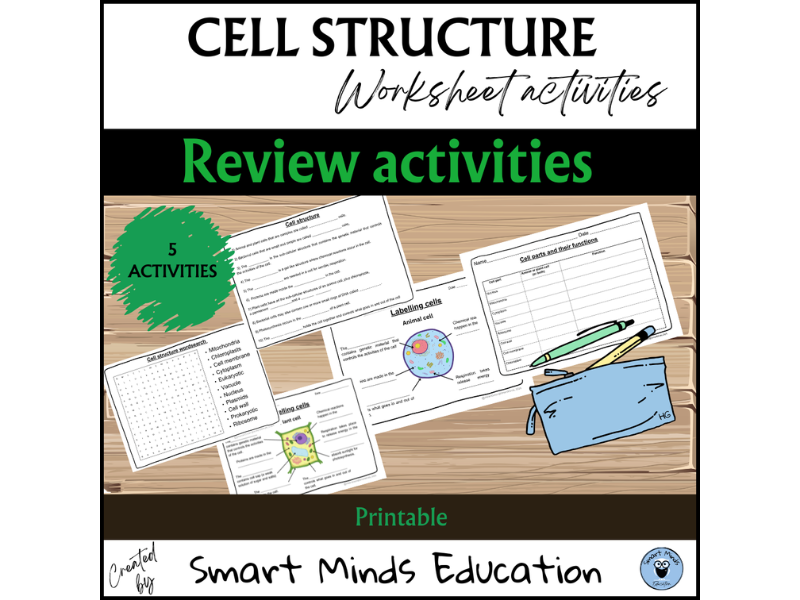 PLANT AND ANIMAL CELL STRUCTURE ACTIVITY WORKSHEETS | Teaching Resources