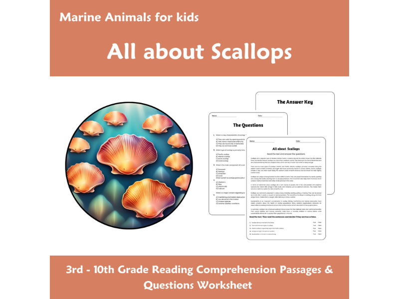 All About Scallops - Reading Comprehension Passages & Questions ...