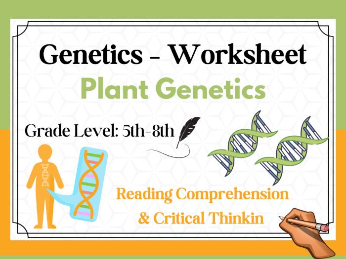 Plant Genetics: Reading Comprehension Passages & Questions Worksheets ...