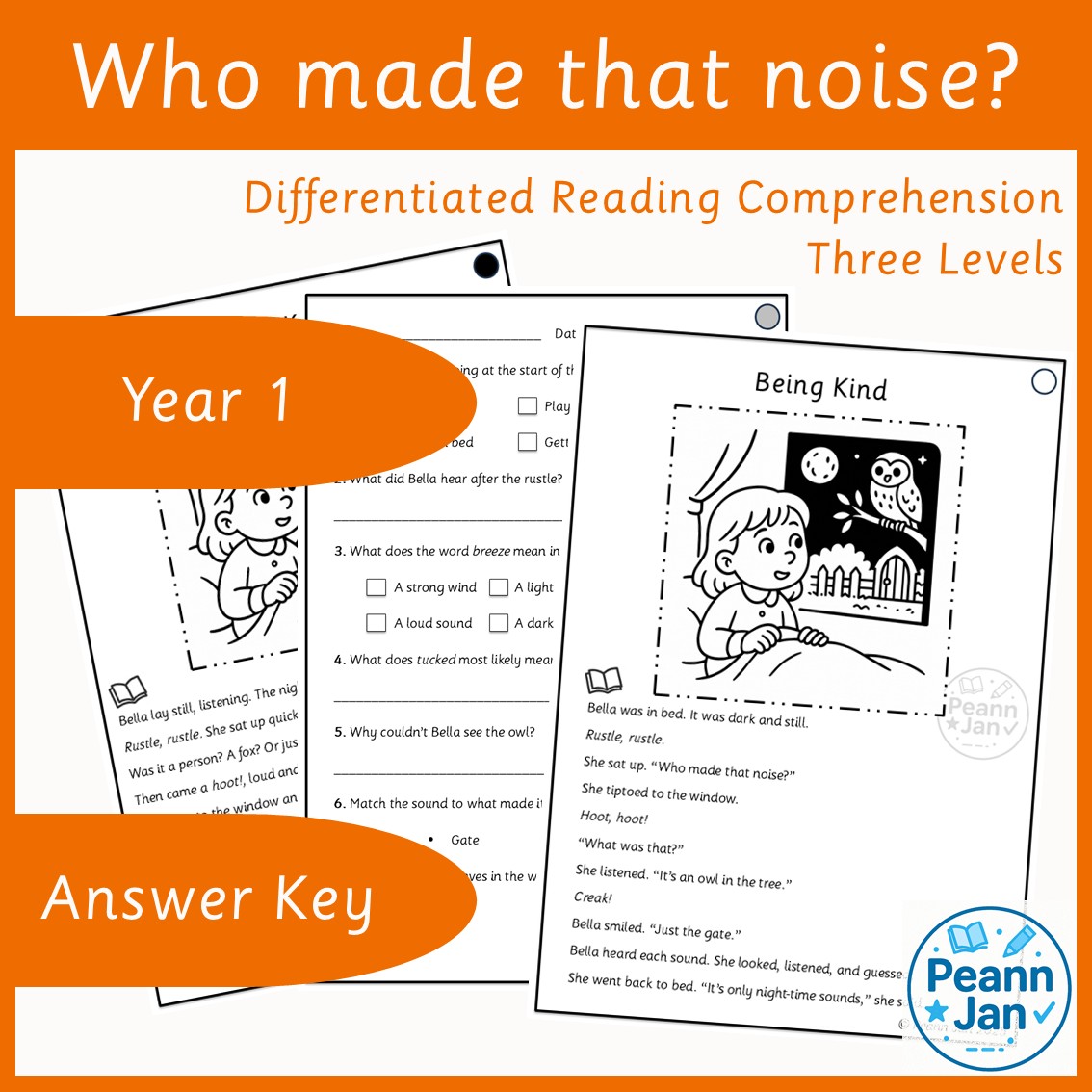 Year 1 Reading Comprehension - Who made that noise? | Teaching Resources