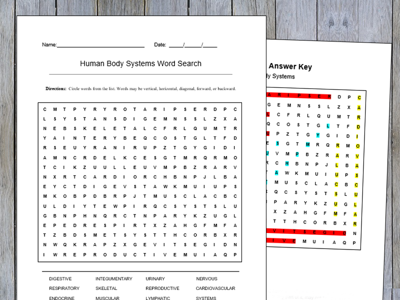 Human Body Systems Word Search Teaching Resources human-body-systems-word-search-teaching-resources