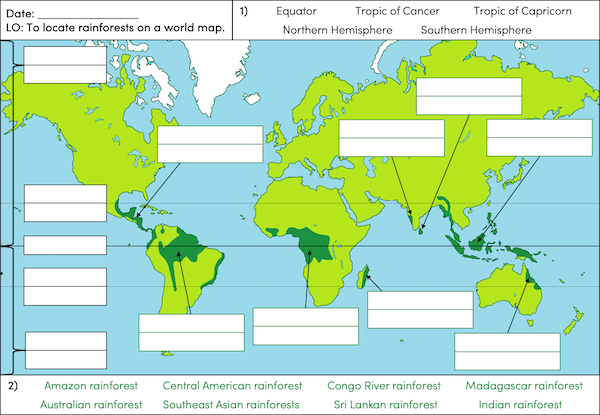 Locating tropical rainforests on a world map - KS2 | Teaching Resources