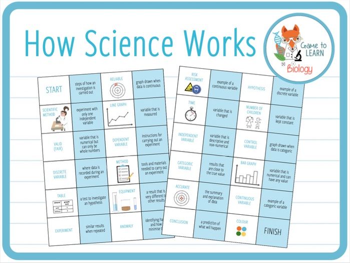 How Science Works - Loop Game (KS3/4) | Teaching Resources