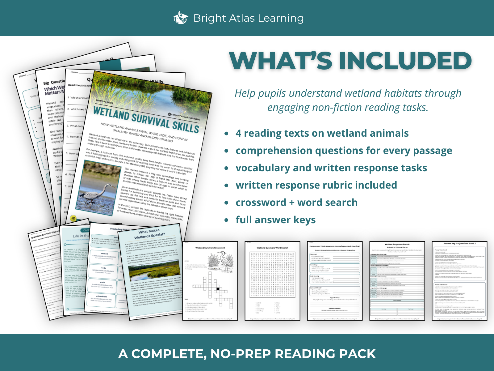 Wetland Animals Reading Comprehension | KS2 Years 4 & 5 | Teaching ...