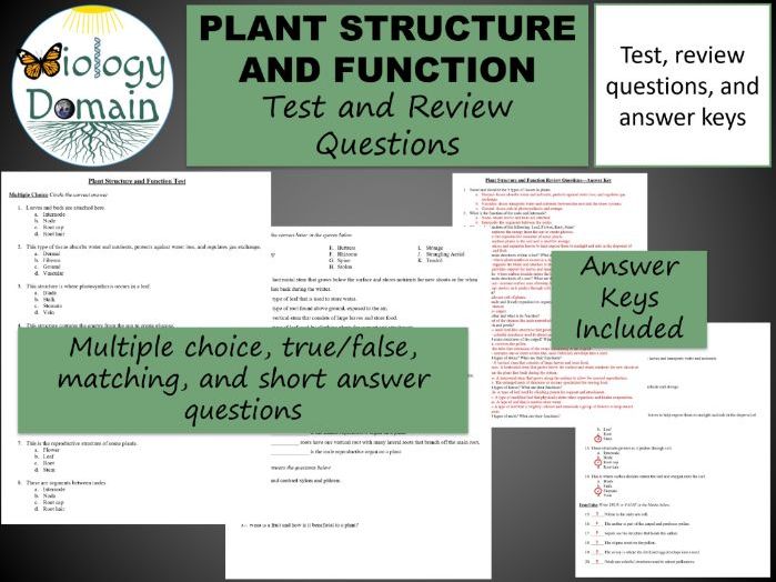 Plant Structure And Function Test Review Questions And Answer Keys 