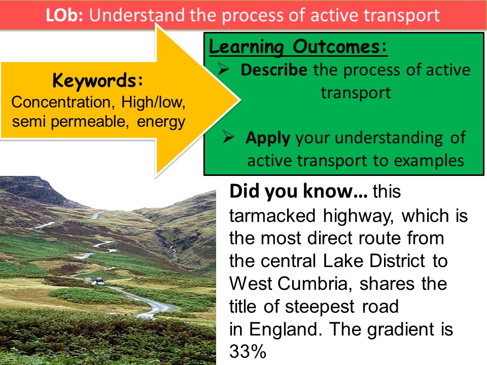 Active Transport | Teaching Resources
