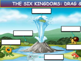 The Six Kingdoms of Life: Drag & Drop: Google Slides. Distance Learning ...
