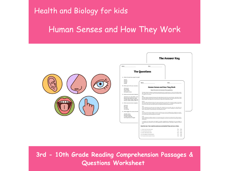 Human Senses and How They Work Reading Comprehension Passages ...