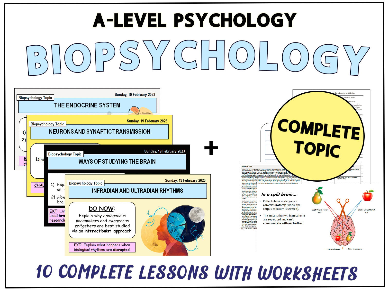 A-LEVEL PSYCHOLOGY - BIOPSYCHOLOGY [COMPLETE TOPIC - Includes Slides ...