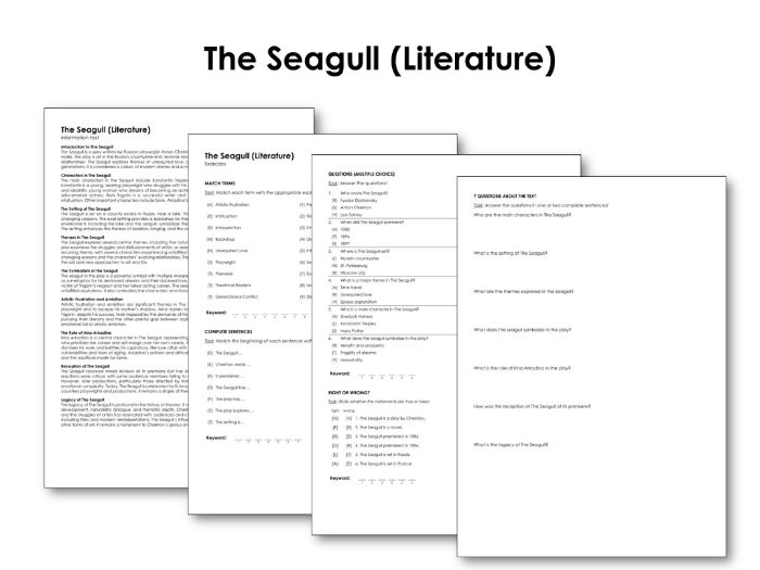 The Seagull (Literature) | Teaching Resources