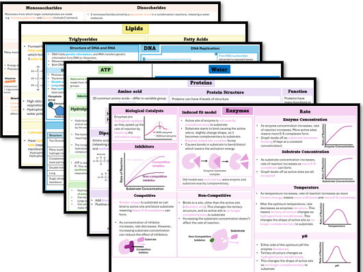 Biological Molecules A Level AQA Revision Sheet | Teaching Resources