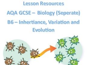 lesson_understanding genetics (medel)_AQA GCSE | Teaching Resources