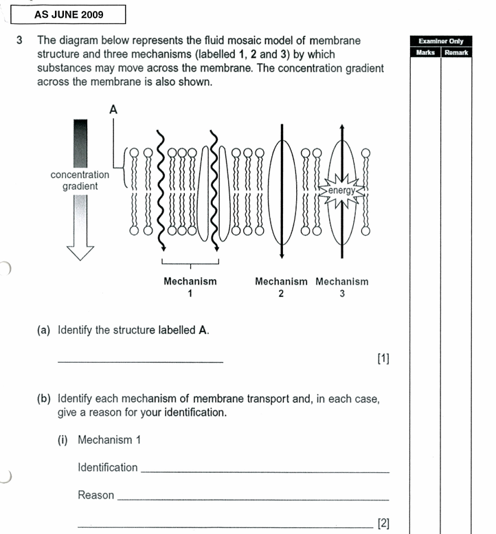 A-level Biology Cell Membrane: Structure, Function and Transport of ...