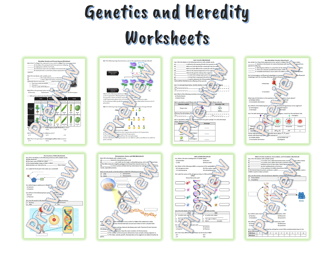 Genetics and Heredity - Worksheets | Printable and Distance Learning ...