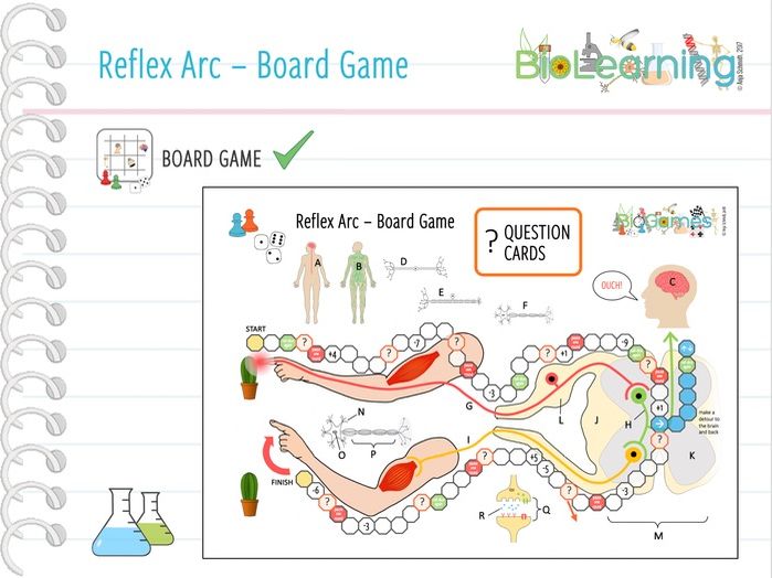 Reflex Arc - Board Game (KS4) | Teaching Resources