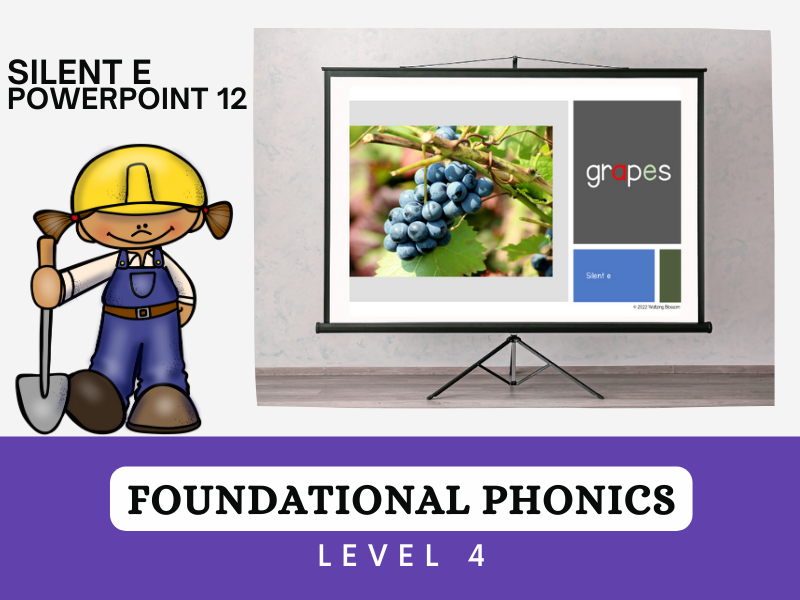Foundational Phonics Curriculum Bundle 4 | Silent e Words | Teaching ...