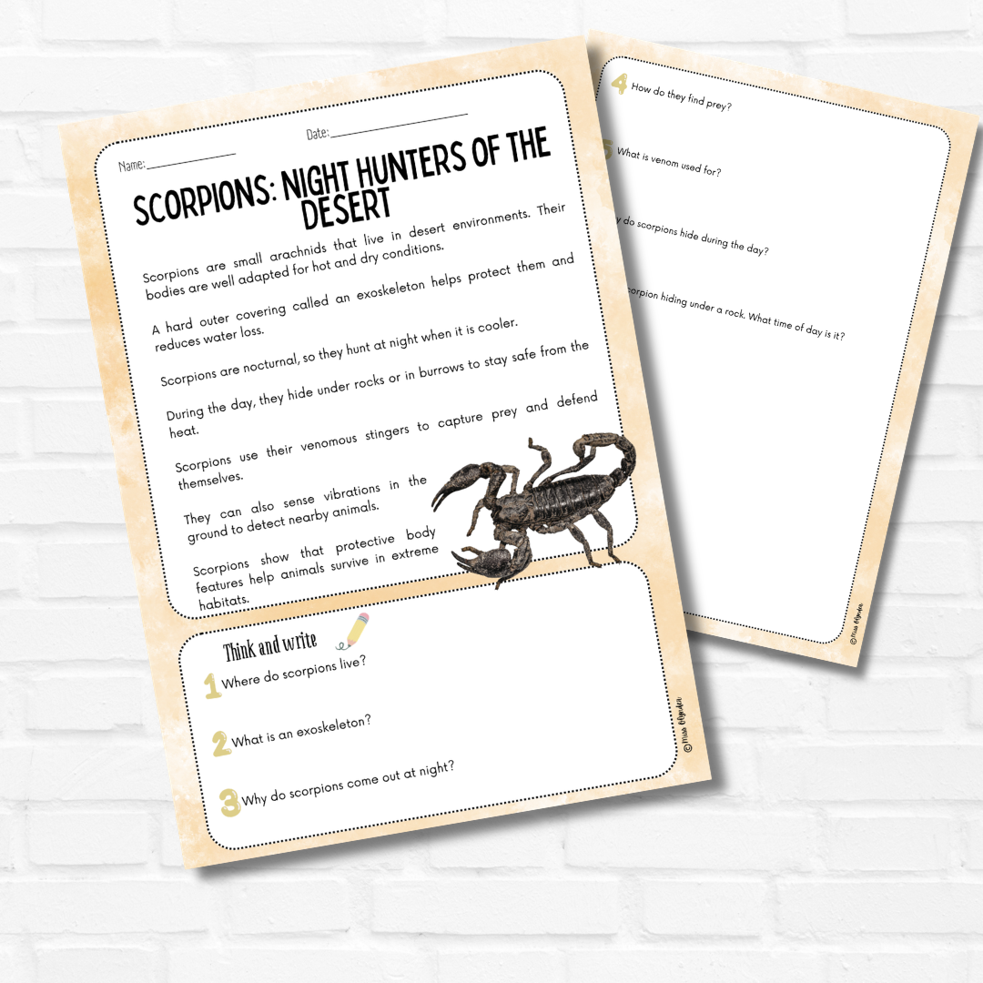 Differentiated Desert animals Reading Comprehension | Nonfiction ...