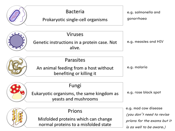 B5.1 Health and disease | Teaching Resources