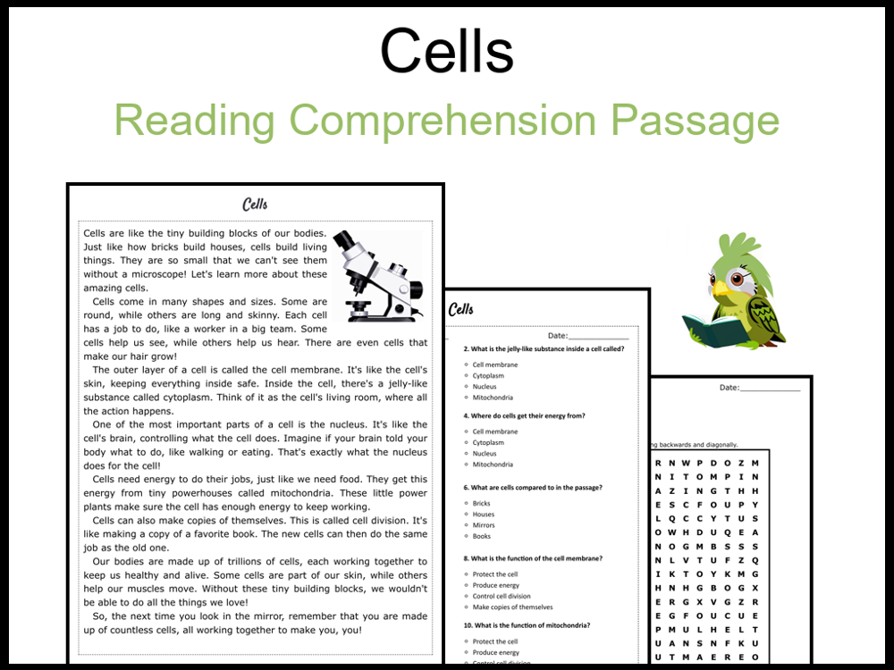 Cells Reading Comprehension and Word Search | Teaching Resources