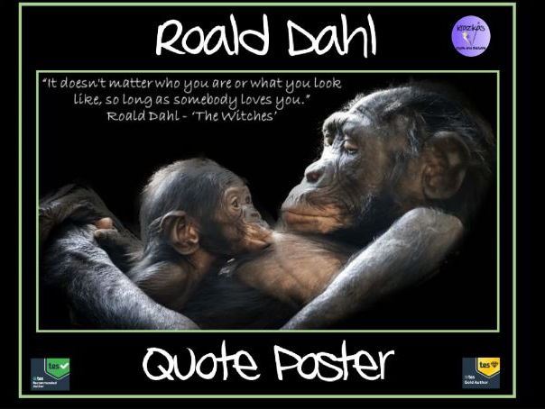 Roald Dahl Quote Poster by Krazikas | Teaching Resources