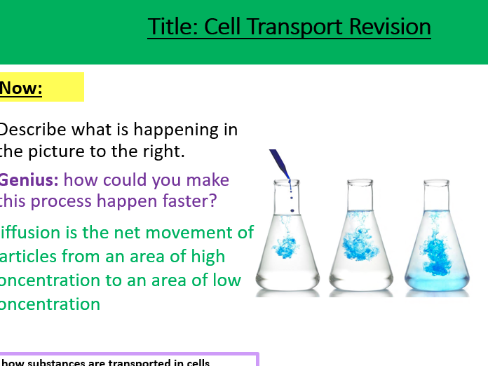 Movement in cells revision lesson | Teaching Resources