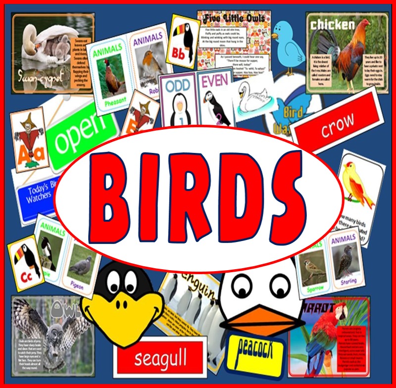 BIRDS RESOURCES LITERACY SCIENCE EYFS, KS 1-2 ANIMALS OWLS ROLE PLAY ...