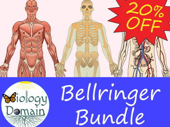 Twelve Weeks of Human Body Bellringers Warm Ups Bundle | Teaching Resources