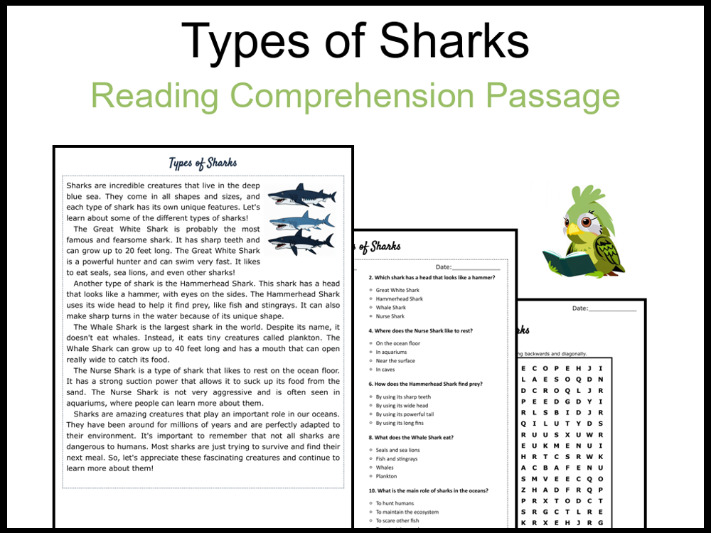 Types of Sharks Reading Comprehension and Word Search | Teaching Resources