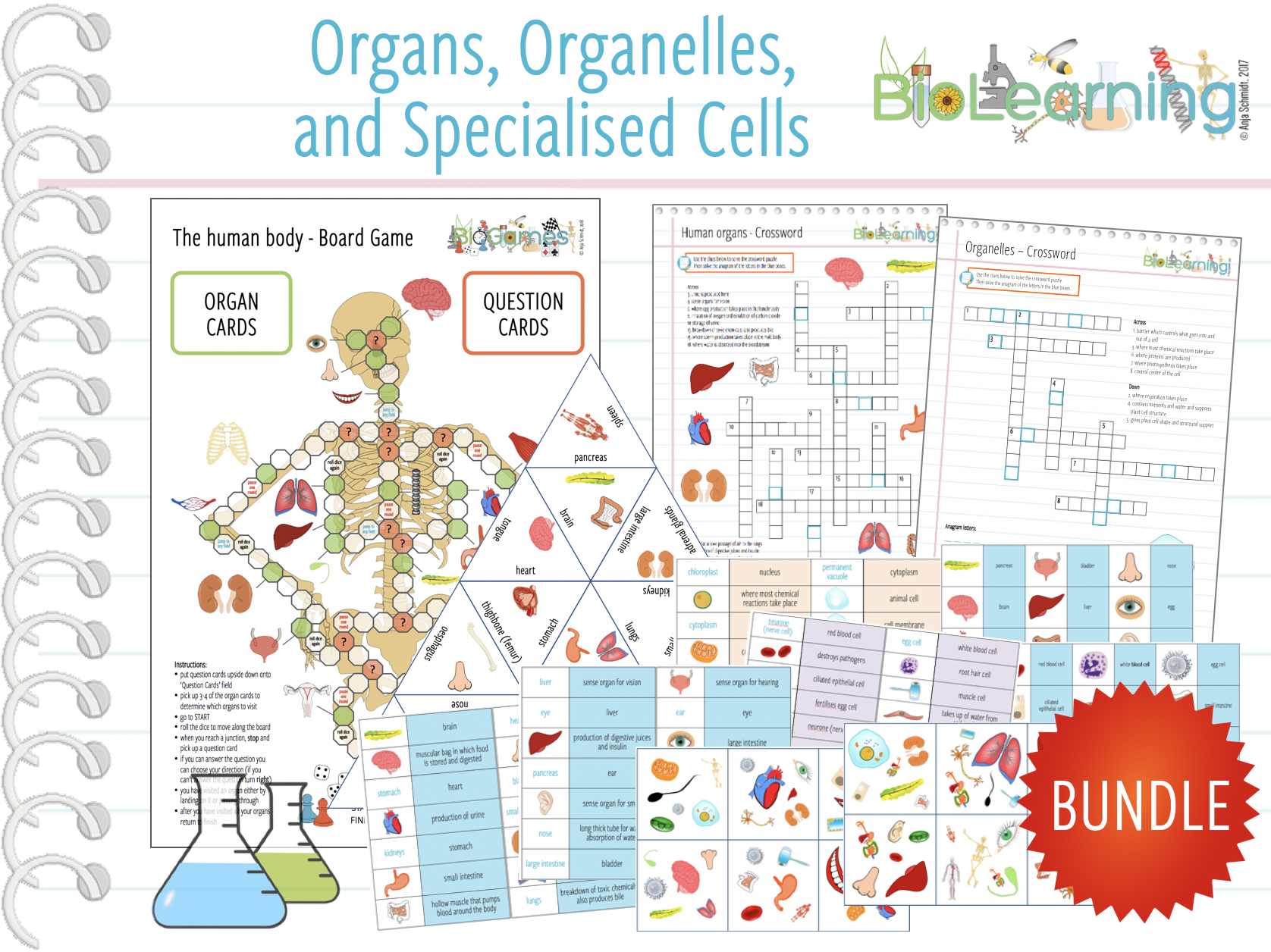 Organs, Organelles, Specialised Cells - 14x Games and Activities ...