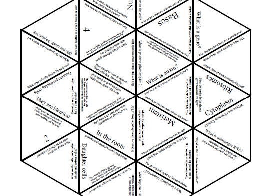 OCR 21st Century Additional Science/Biology B5 Revision Puzzle (Tarsia ...