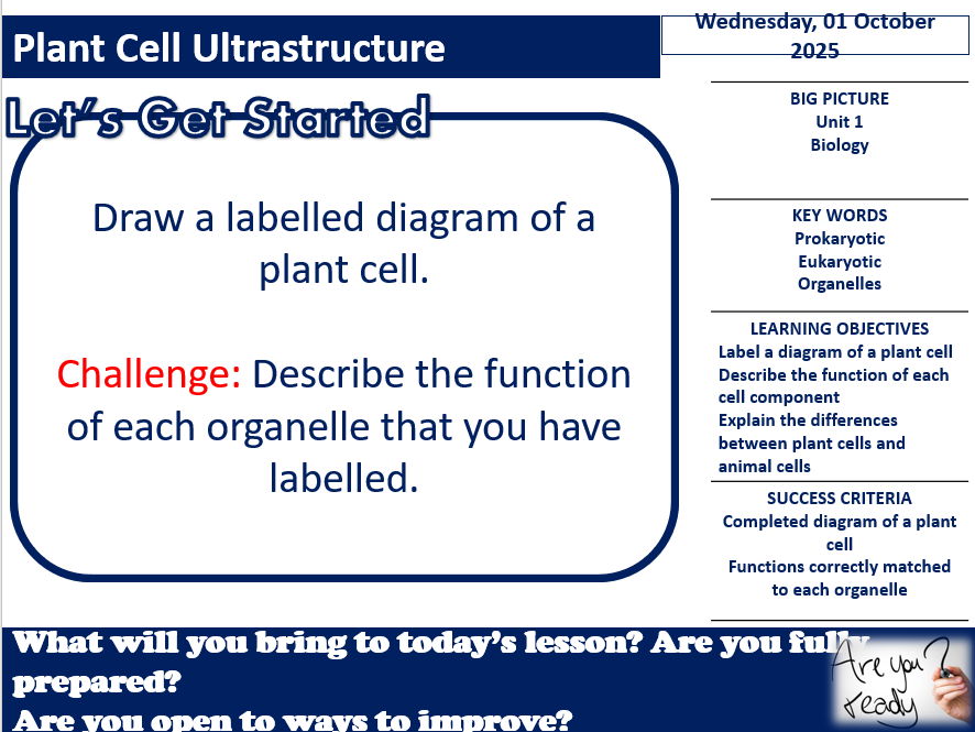 Eukaryotic Cells (Plants)- AAQ Applied Science | Teaching Resources