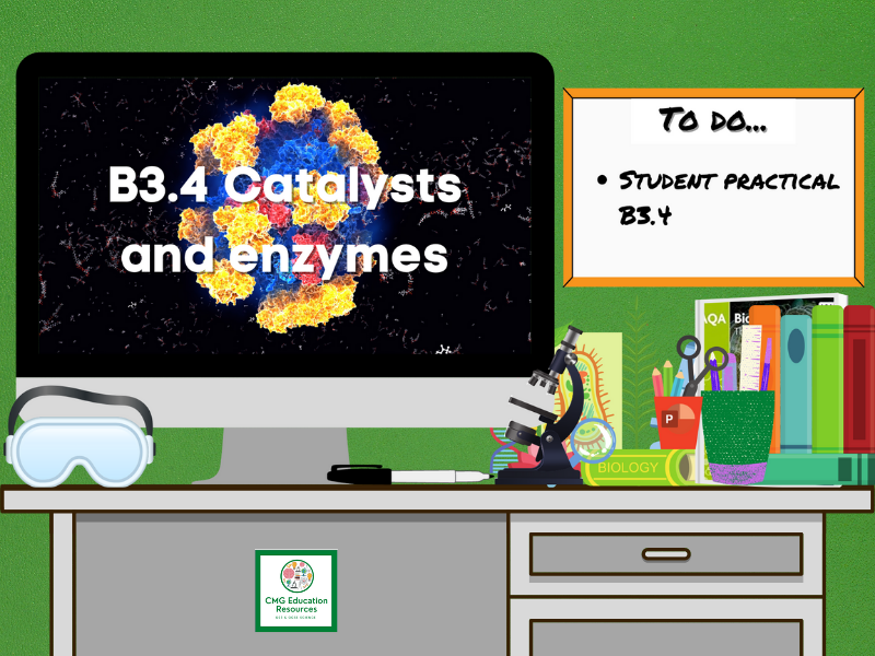 B3 Organisation and the digestive system bundle (AQA 9-1 GCSE Biology ...