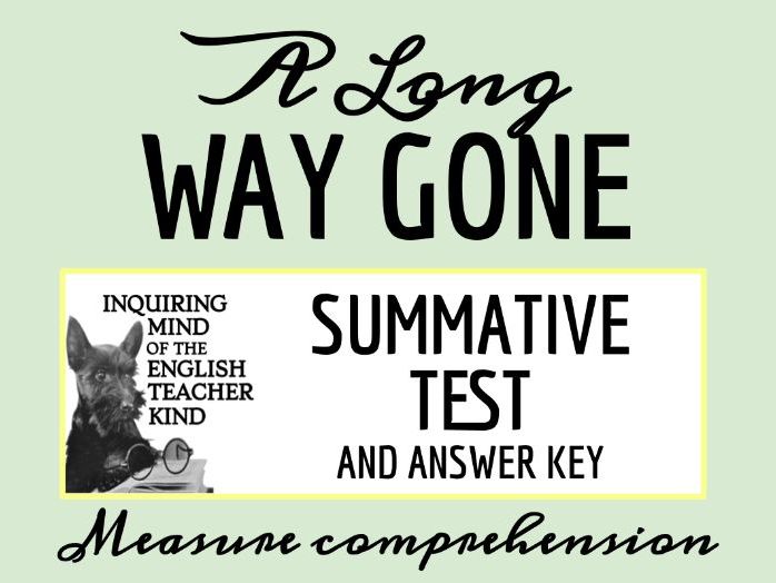 A Long Way Gone by Ishmael Beah Quiz Bundle | Teaching Resources