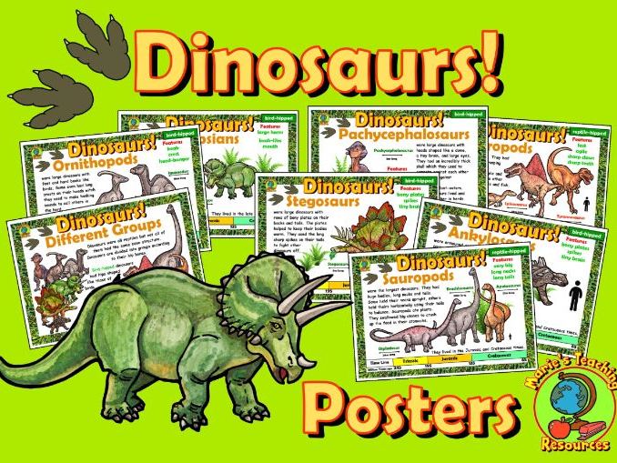 Primary dinosaurs resources