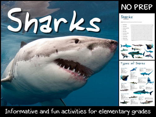 Sharks | Teaching Resources