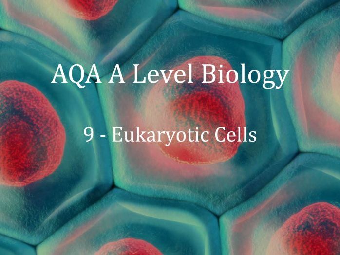 Eukaryotic Cells Biology I