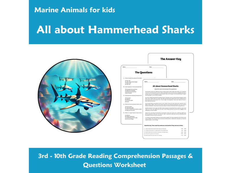 All About Hammerhead Sharks Reading Comprehension Passages & Questions ...